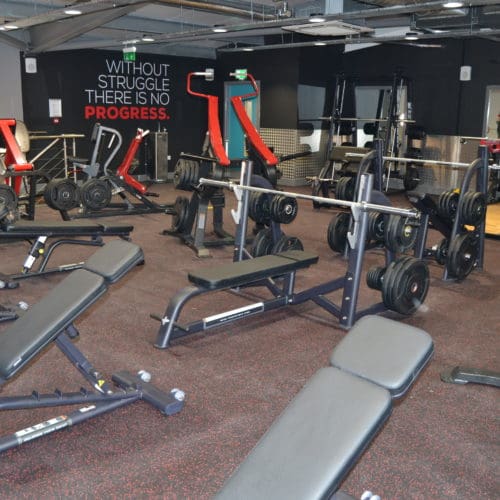 Phoenix Swimming Pool – Pulse Design & Build